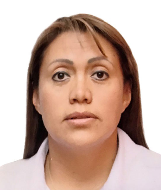 Conozca a los candidatos