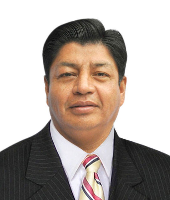 Conozca a los candidatos