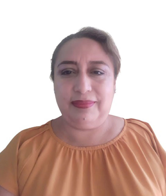 Conozca a los candidatos